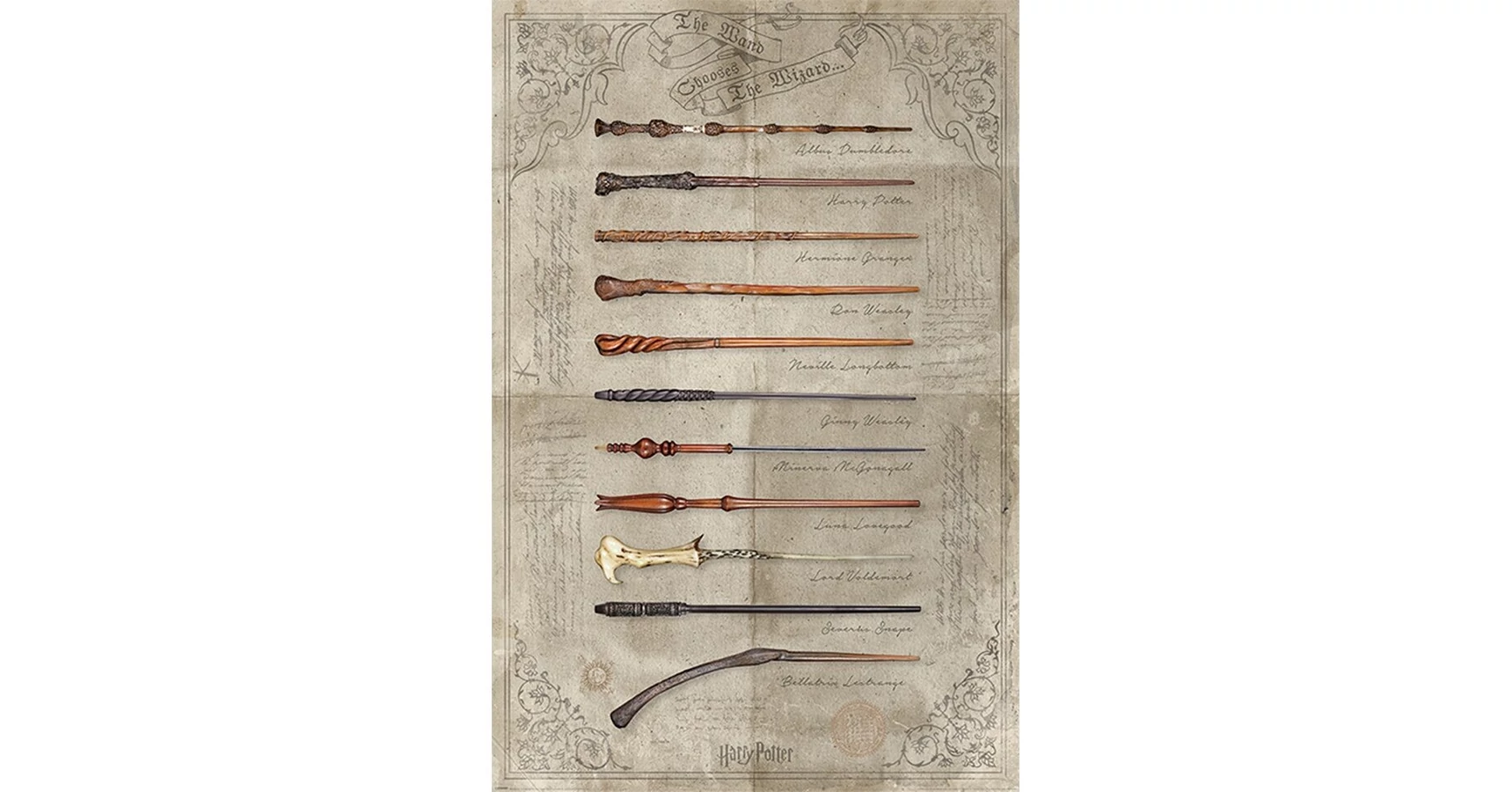 Harry Potter (The wand chooses the wizard) maxi poszter